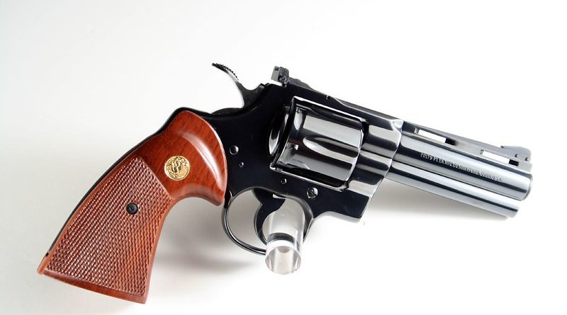 S&W M19 + Colt Python = スマイソン。そして『ジャングルの儀式』 - Stories Gadget